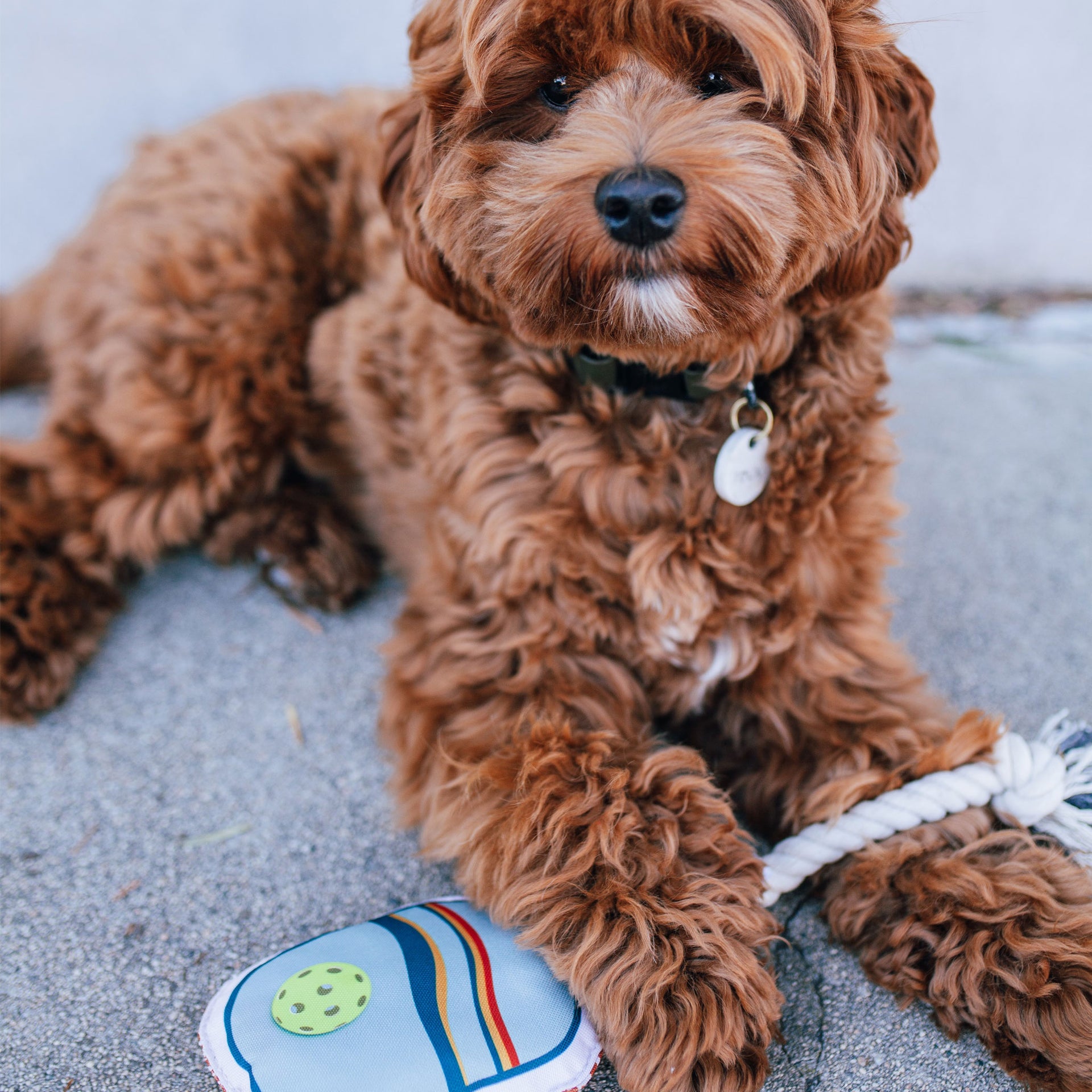 Ore' Originals | Happy Products for Good People & Pets — Ore' Originals ...