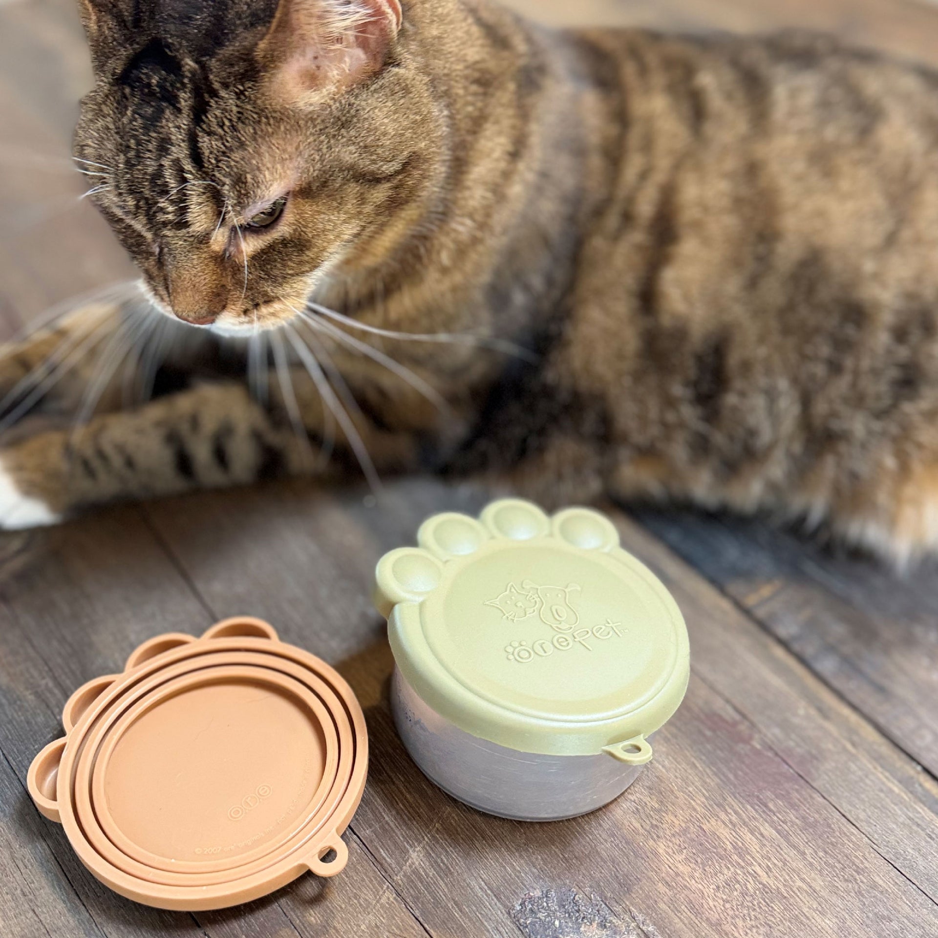 Ore' Originals | Happy Products for Good People & Pets — Ore' Originals ...